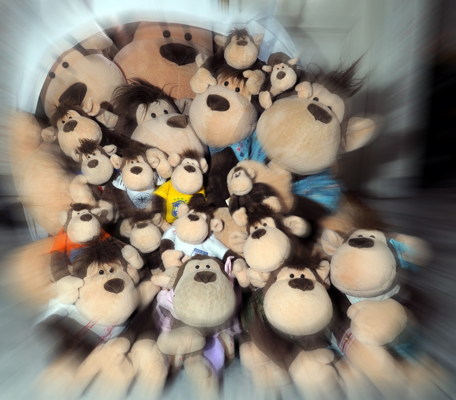 All About NICI: Monkey Family Reunion