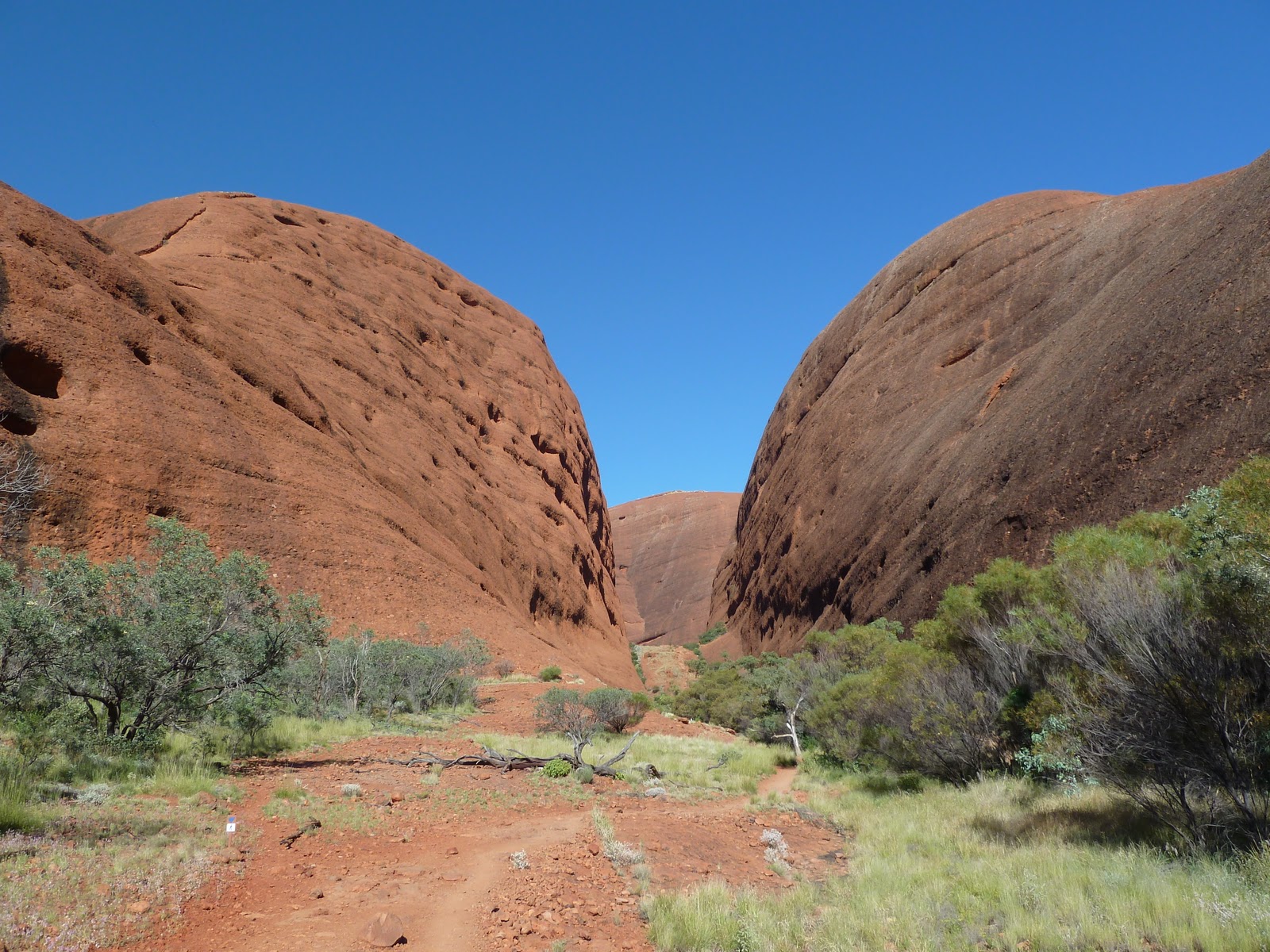 Lene's Adventures: Australian Outback Wild Life And Nature