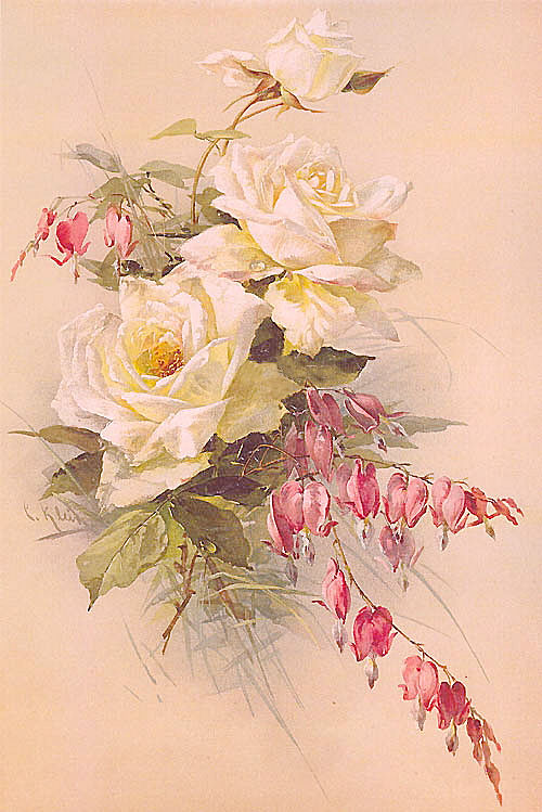 ~PINK SATURDAY...Sweet Pink Rose Postcards For You~