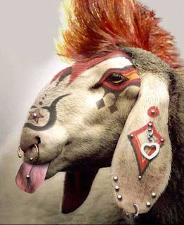 CAPRA TENTA LA RAPINA! su Rose Red