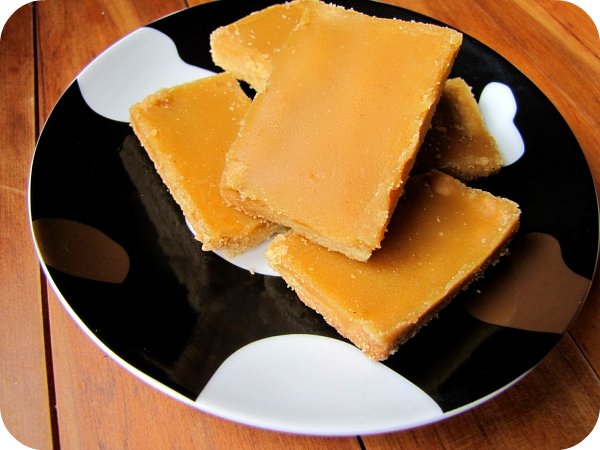 Ginger Crunch - PaisleyJade