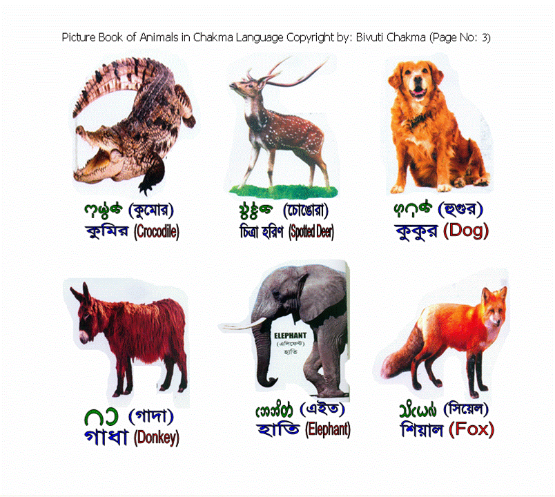 animals: Picture of Animals in Chakma Language