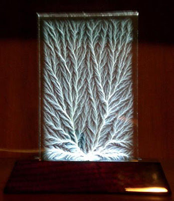 Damn Amazing: Captured Lightning - Lichtenberg Figures