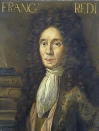 -: FRANCHESCO REDI