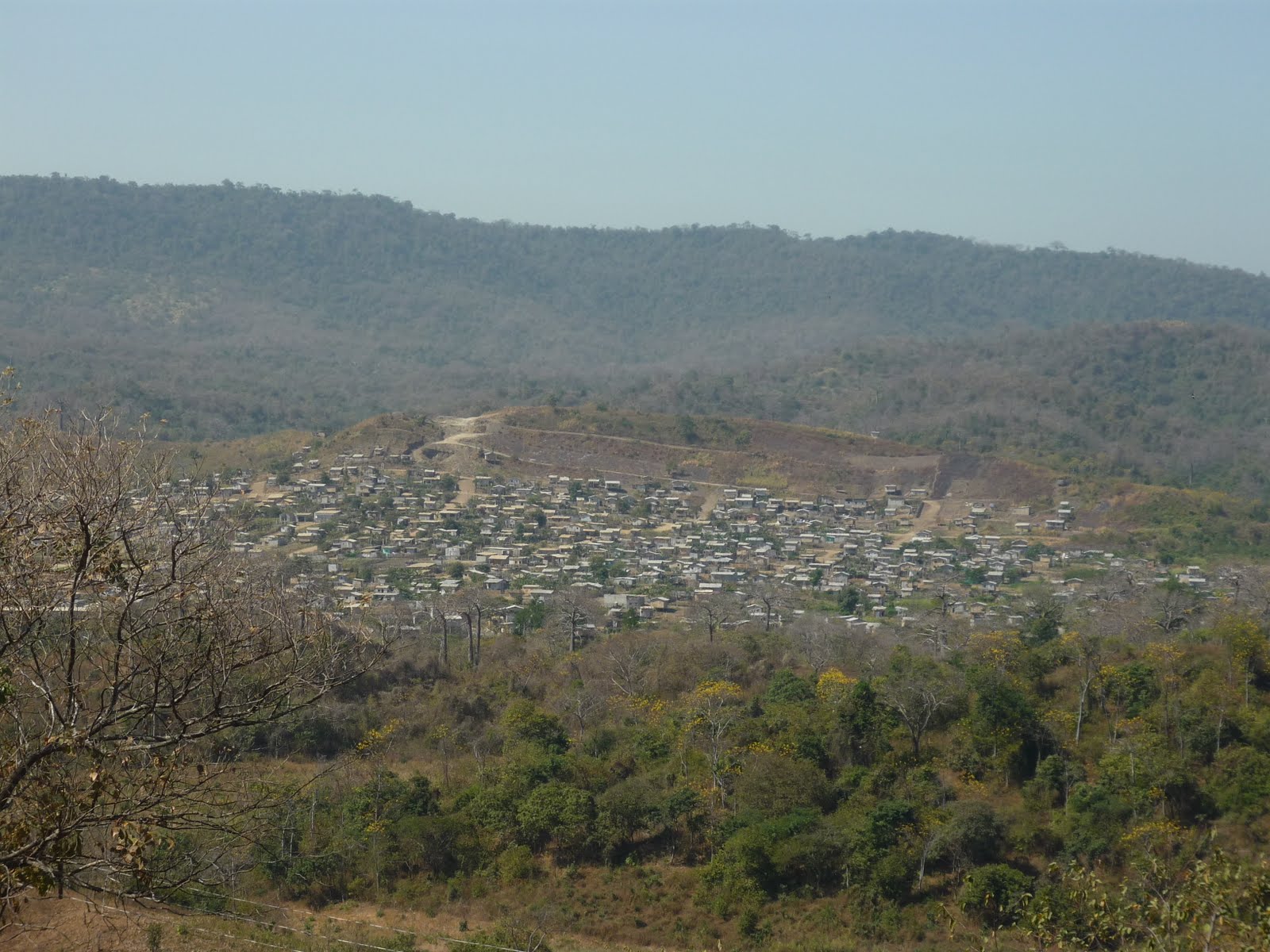 Protecting Ecuadorian Dry Forest: The Cerro Blanco Protected Forest and ...