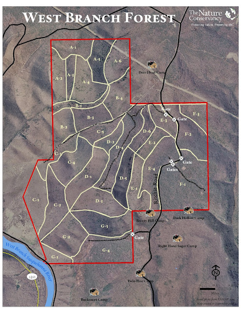 The Nature Conservancy's West Branch Research & Demonstration Forest ...
