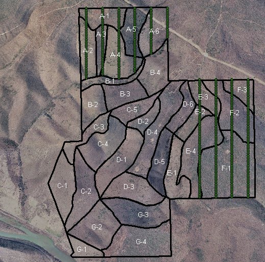 The Nature Conservancy's West Branch Research & Demonstration Forest ...