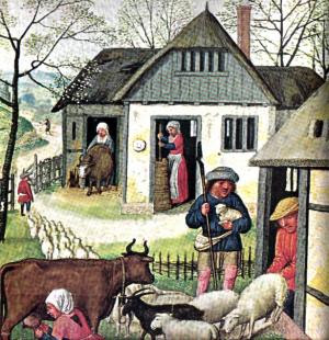 Mr. Stanton's World History classes: Medieval Farming terms