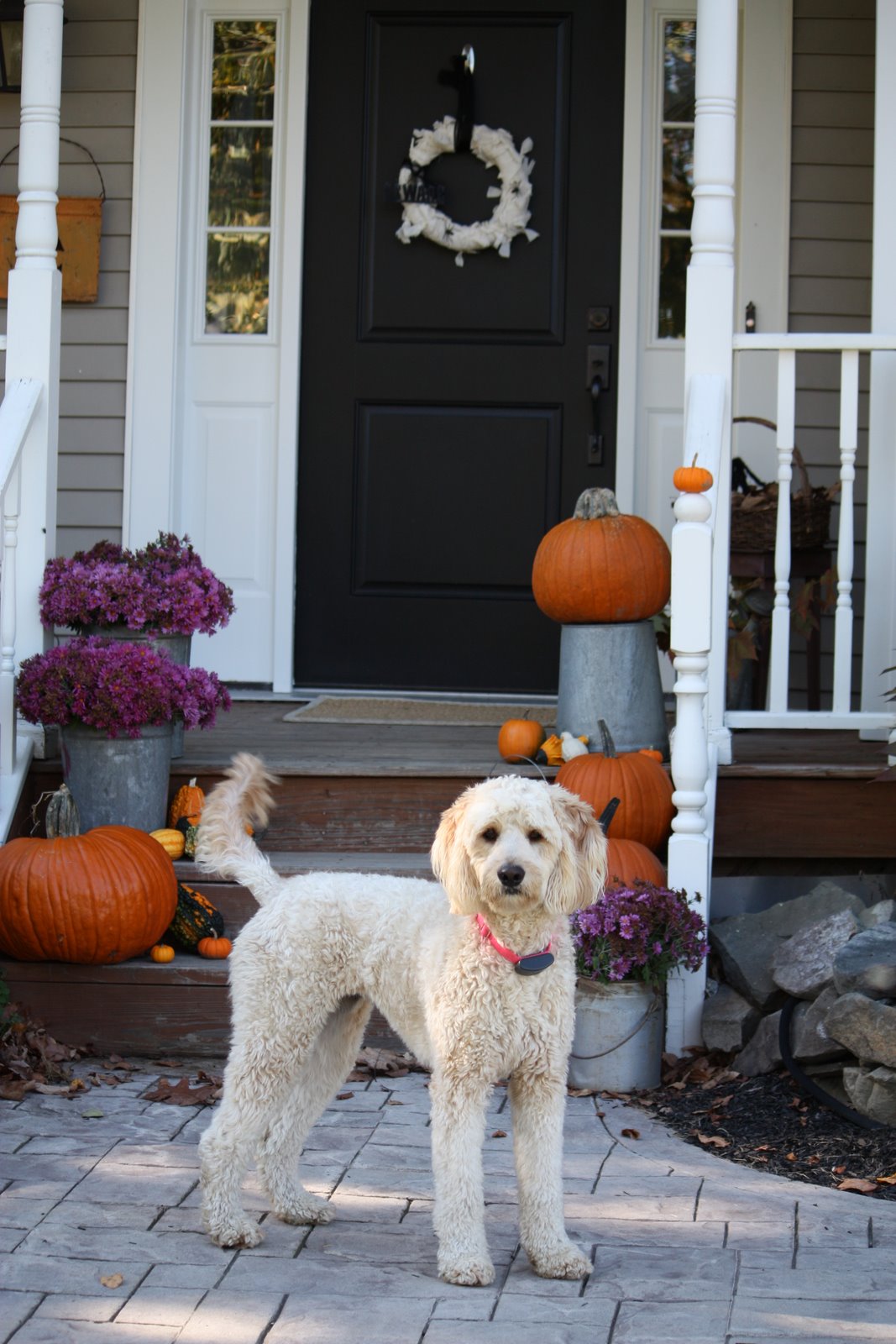 Outdoor Fall Decorating