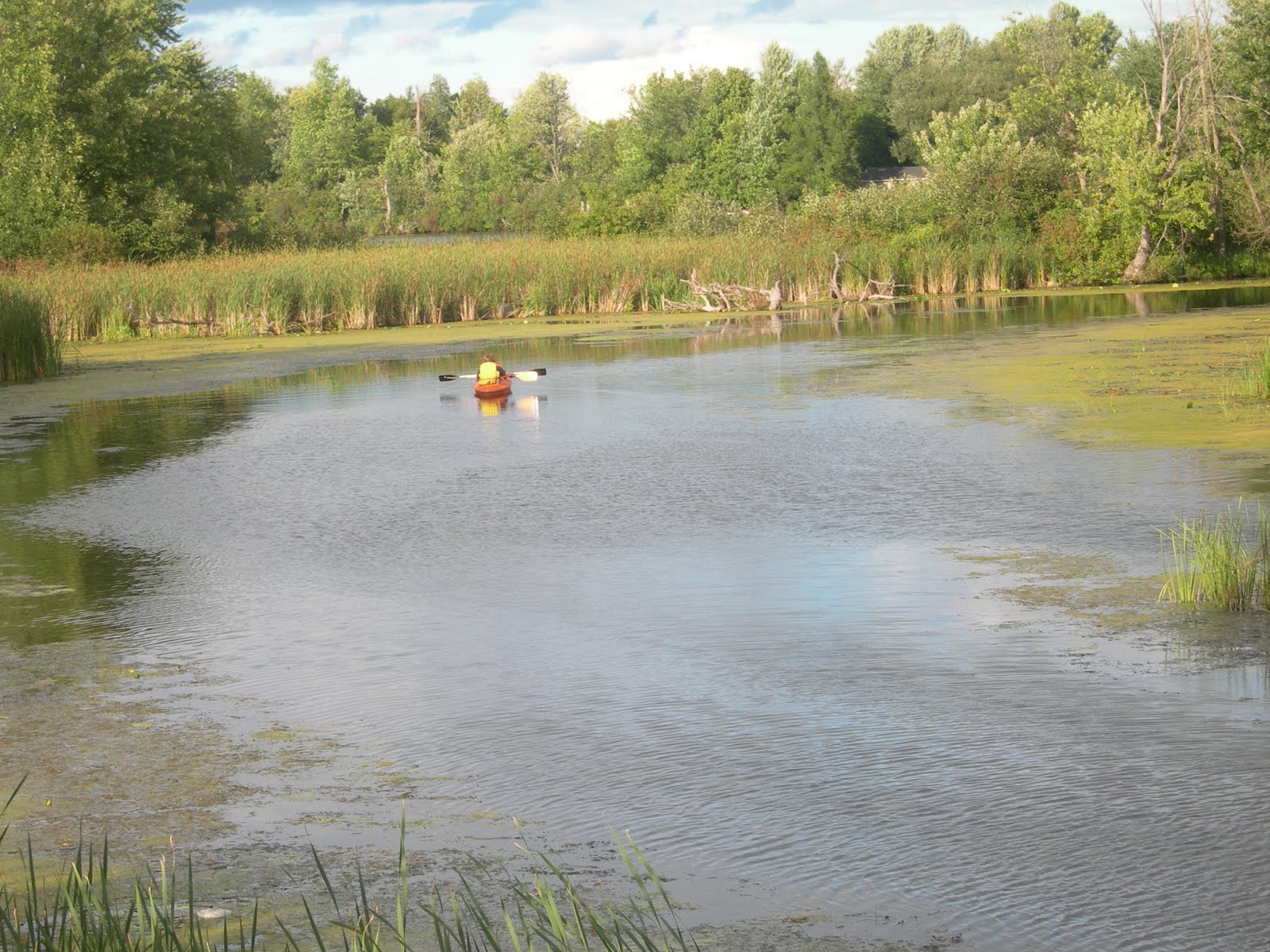 Building the PBK 18 Kayak