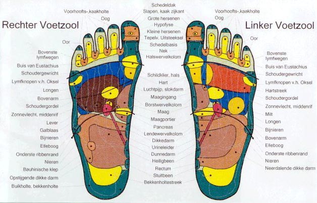 Wereldorientatie: Voetreflex/massage