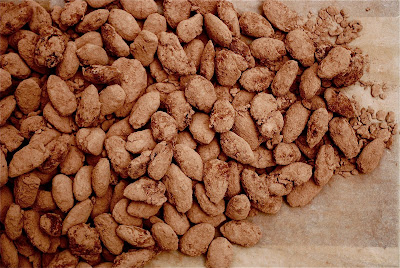 Blue Ridge Baker: Cocoa Almonds