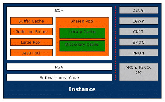 CTMS TED: Oracle Database Basic Architecture