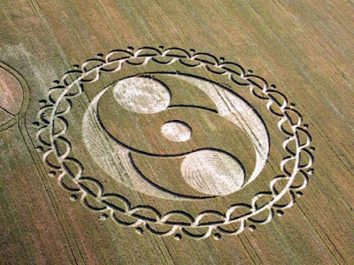 Crop Circle Season 2008 - Psychedelic Adventure