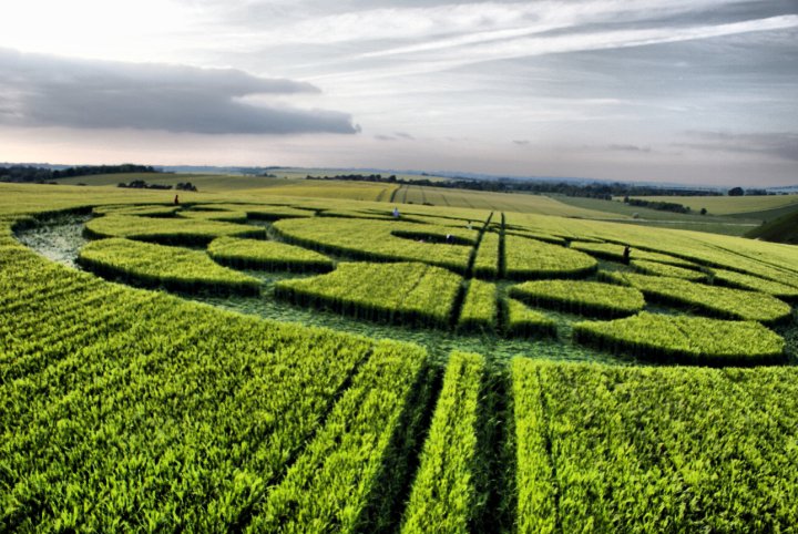 Crop Circle Silbury Hill : 31st May 2010 - Psychedelic Adventure