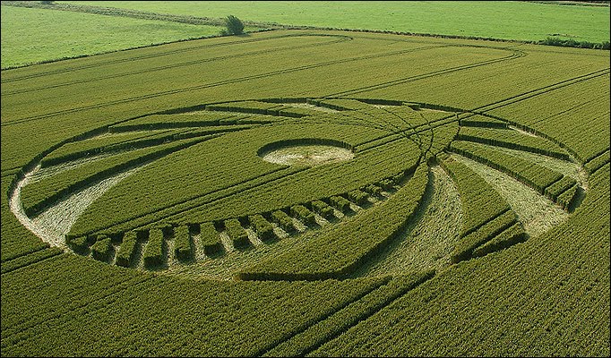 Crop Circle Season 2010 : June Formations | Psychedelic Adventure