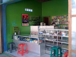 NANDA SERVICE CENTER: RIENTAL PS2 BY NANDA CELL