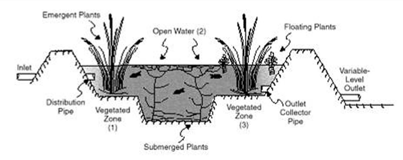 SUD / Sustainable Urban Design: Constructed Wetlands
