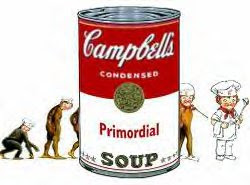 science buzz: The origins of life, nucleic acids, purines, pyrimidines ...