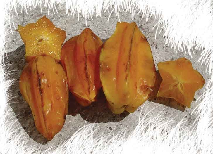 Sorrounding the Indian Ocean " Sri Lanka": Traditional fruits