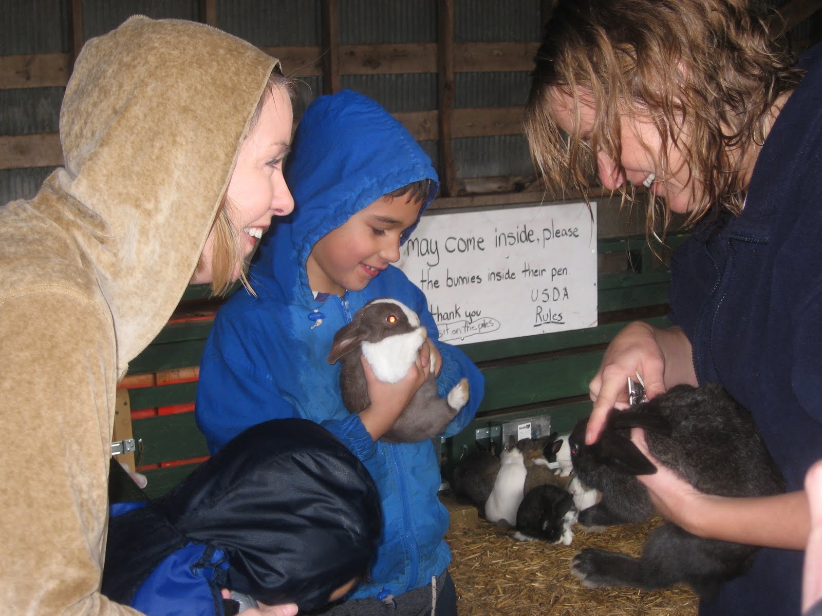 Treatment 4 Autism: Revisiting LDN (Low Dose Naltrexone)