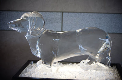 The Long and Short of it All: A Dachshund Dog News Magazine: Dachshunds ...