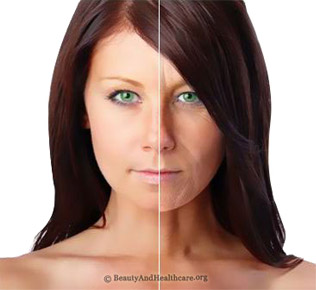 Kendall's Life: A Little Bit of Everything: Anti-Aging Advertisements