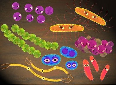 biolife-ecology: REINO BACTERIA