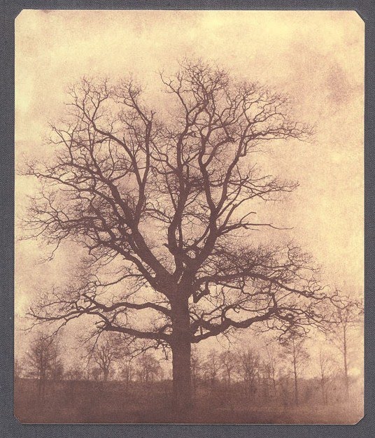 Science and Literature Reading Group: William Henry Fox Talbot: Beyond ...