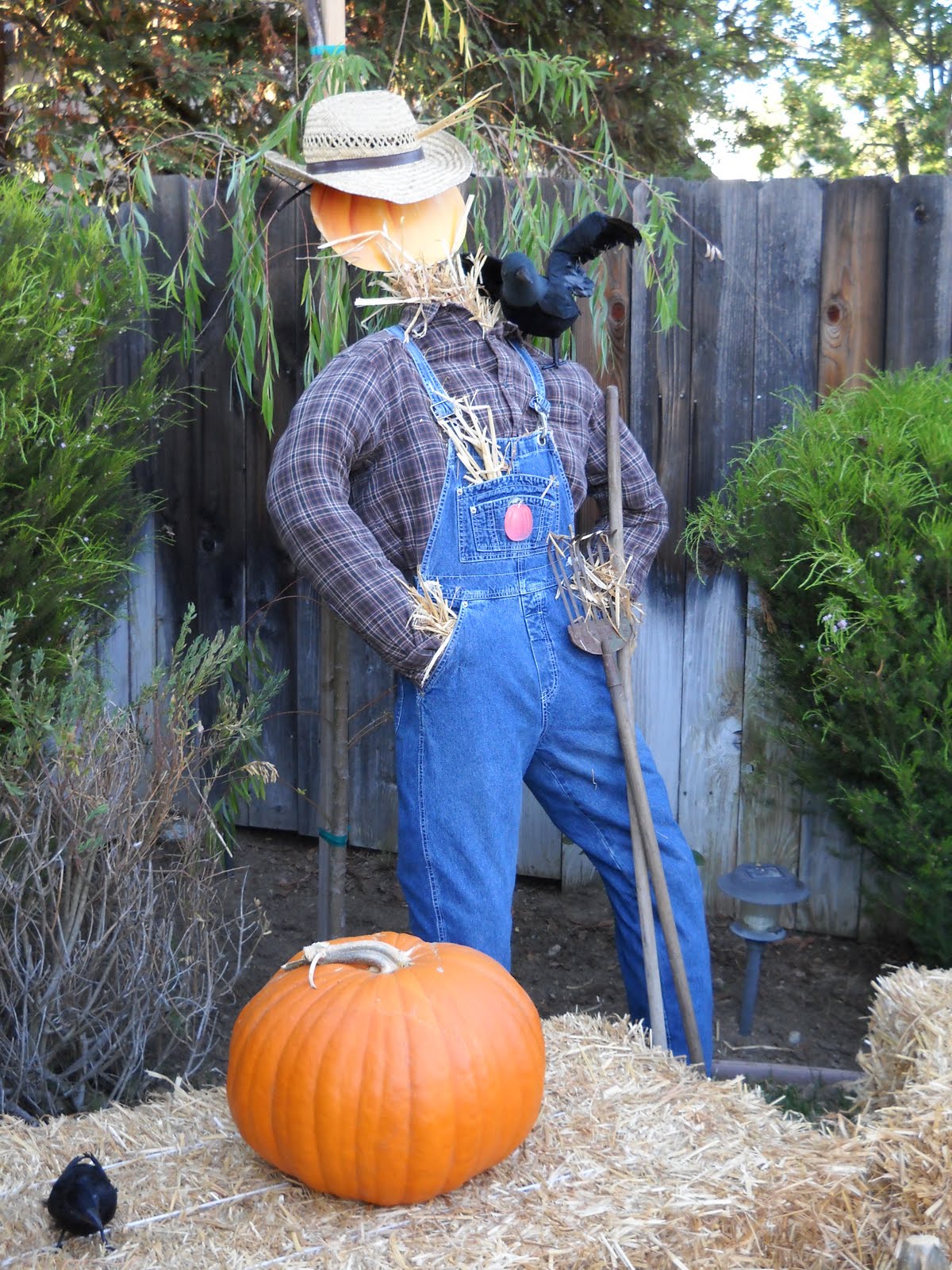 rosespetitemaison: Baby Jake's First Birthday or Pumpkin Extravaganza