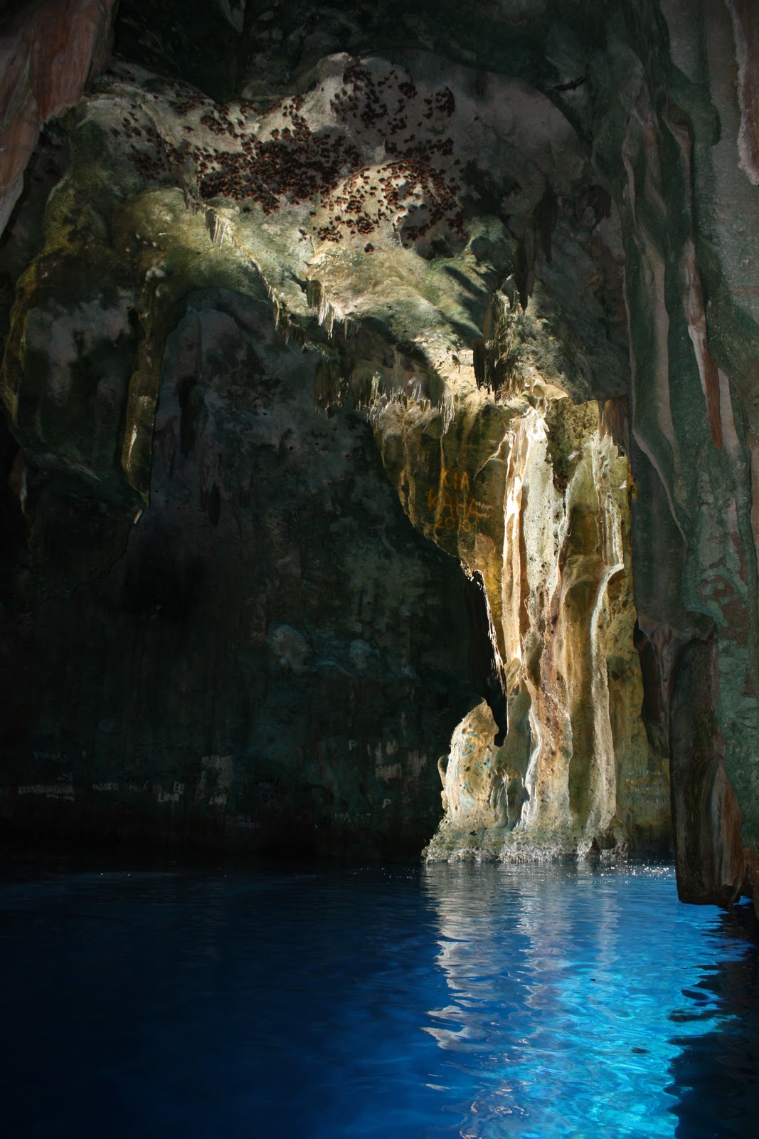 Emily Grace: The Kingdom of Tonga - Vava'u