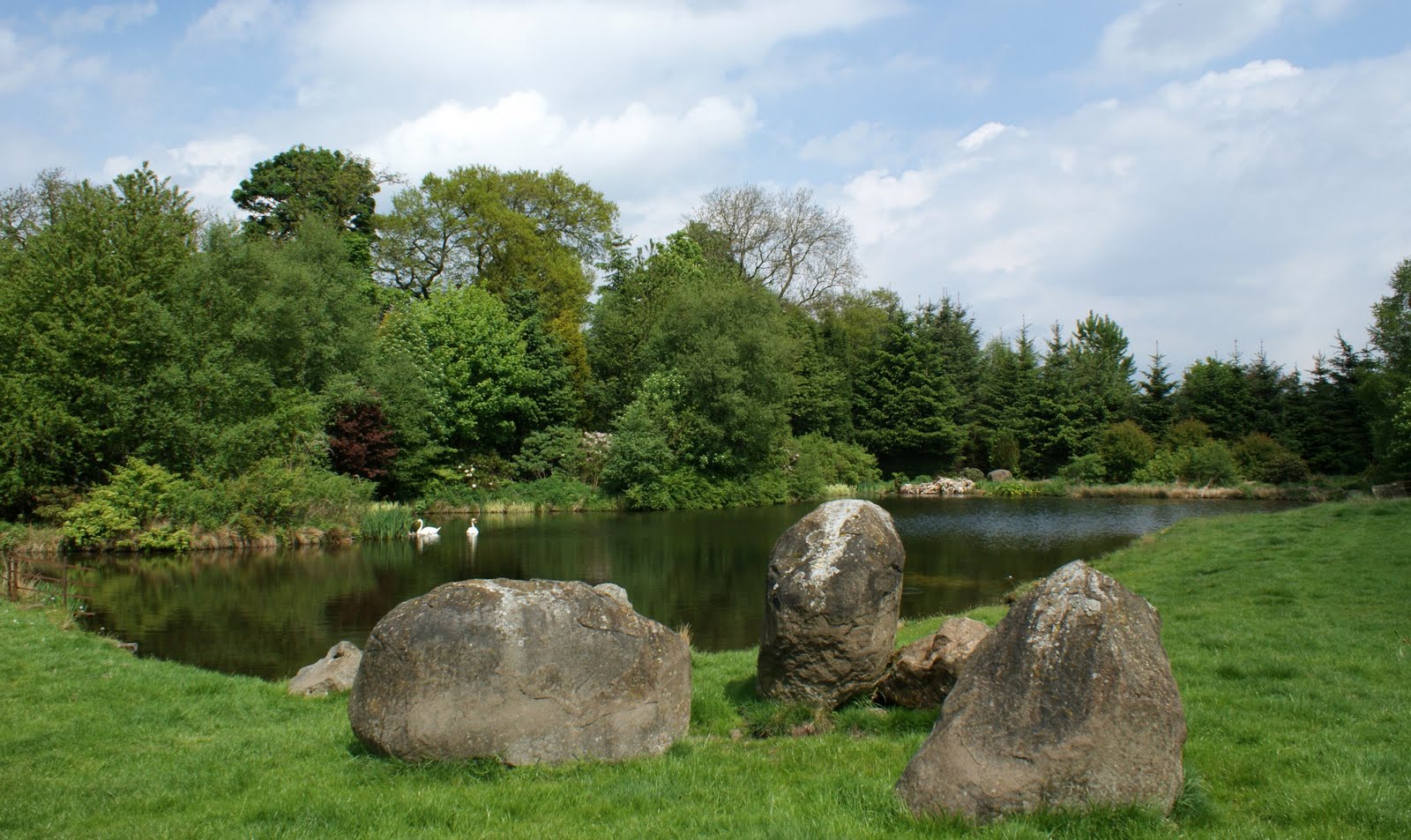Tour Scotland: Tour Scotland Photographs Standing Stones Dowhill