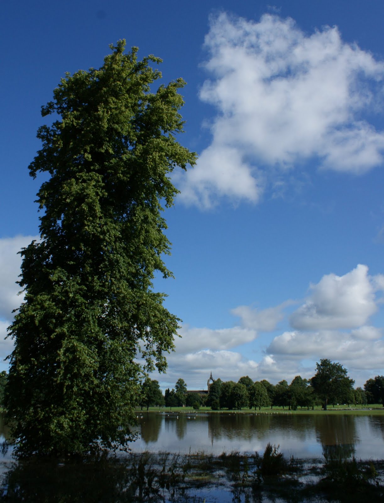 Tour Scotland: July 22nd Photograph South Inch Perth Scotland