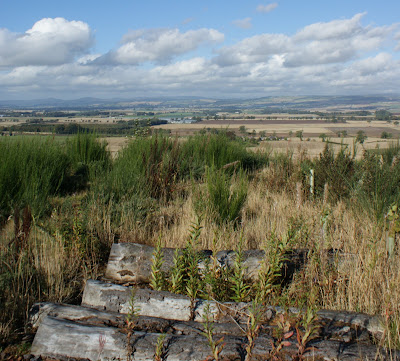 Tour Scotland: October 4th Photograph Strathmore Angus Scotland