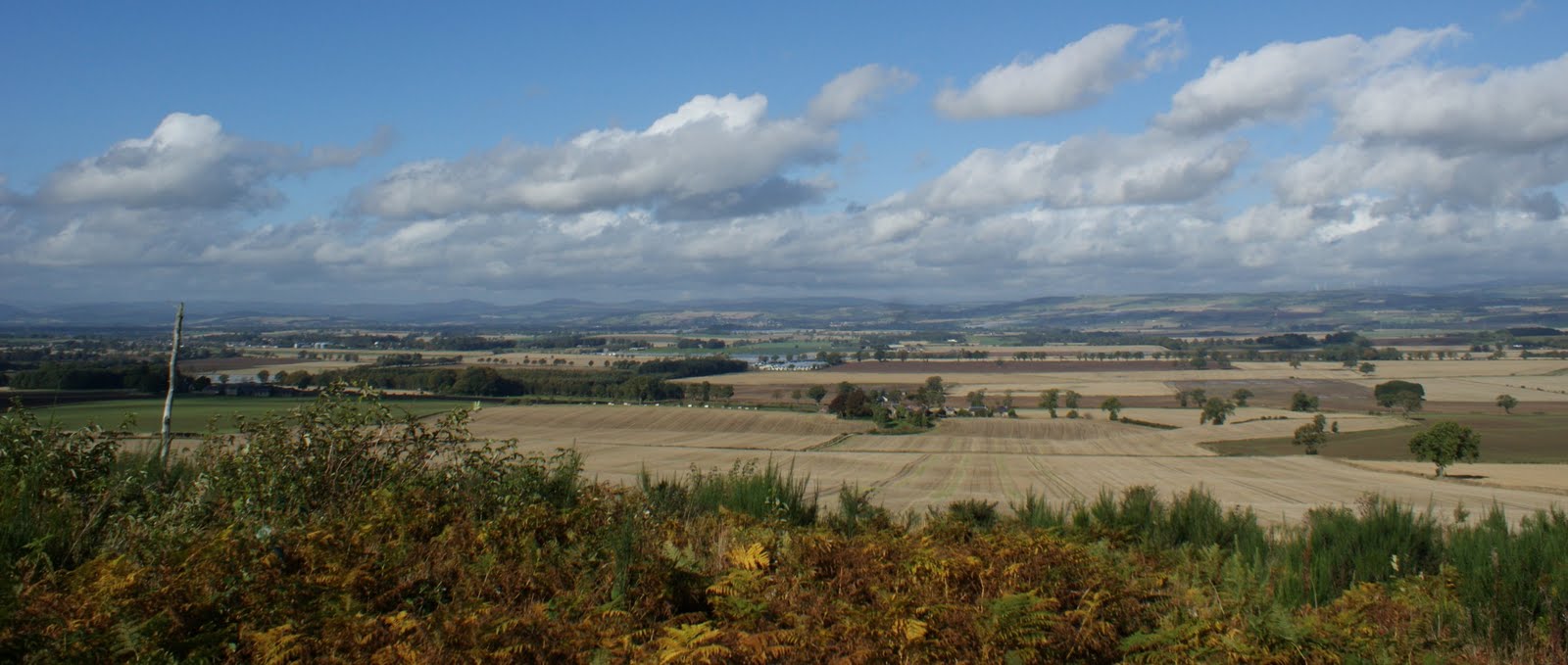 Tour Scotland: October 4th Photograph Strathmore Angus Scotland