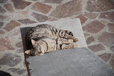 STAMPA, SCUOLA E VITA: Africa. Cinquantanni di indipendenza