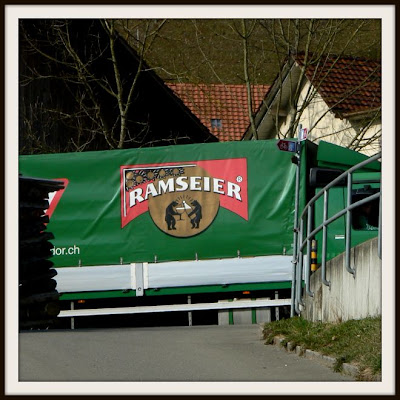 Based in Villigen: Ramseier