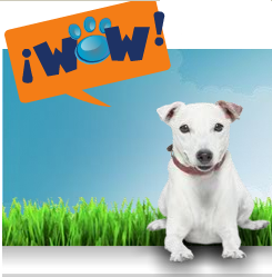 CyberEM - Tecnologia, Internet, Gadgets y más.: Concurso de telmex o ...