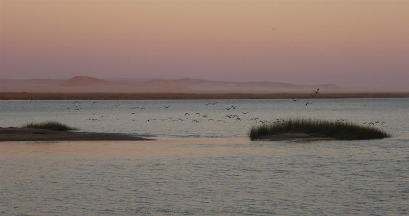 The Flying Fish: Oranjemund, Namibia