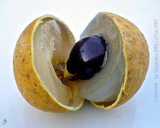 a hui hou...: Hiking, Waterfalls, and Fresh Fruit