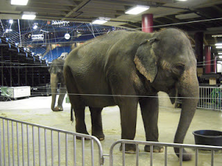 Our Fair Adventure: So close to joining the circus