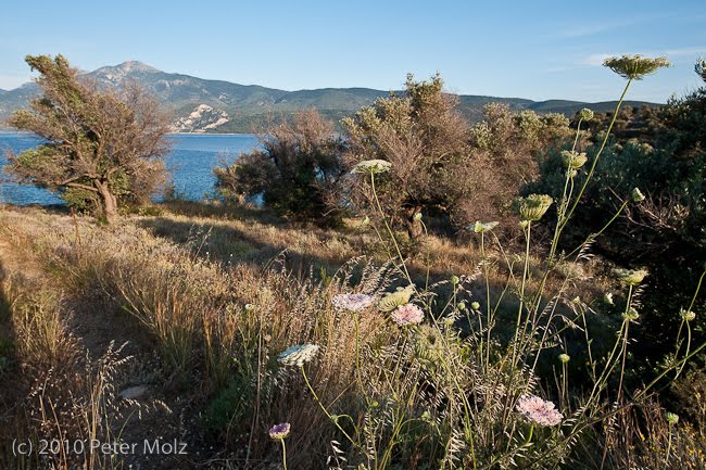 SAMOS-MEDIA: The strait of Samos / Mycale Strait / Στενό της Μυκάλης
