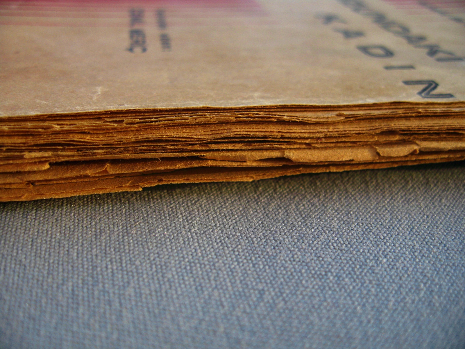 Ayse's World: Ağustos 2010