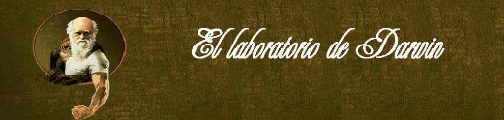 el laboratorio de darwin: Oliver, el humanzee