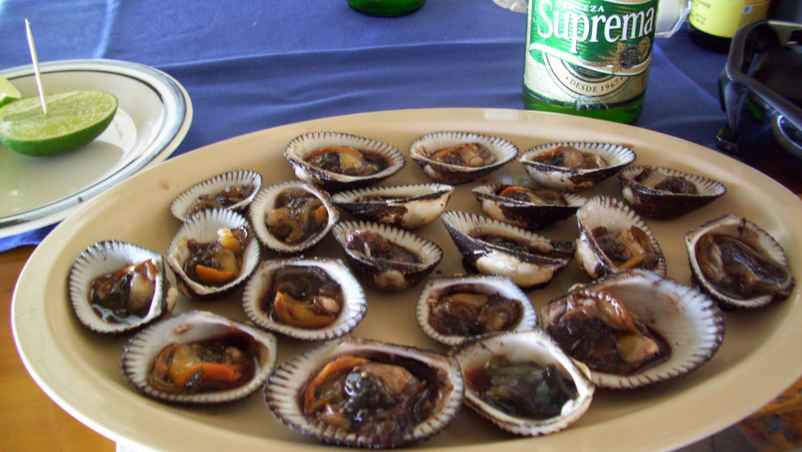 Fritos y Mixtos: VideoBlog! Conchas!