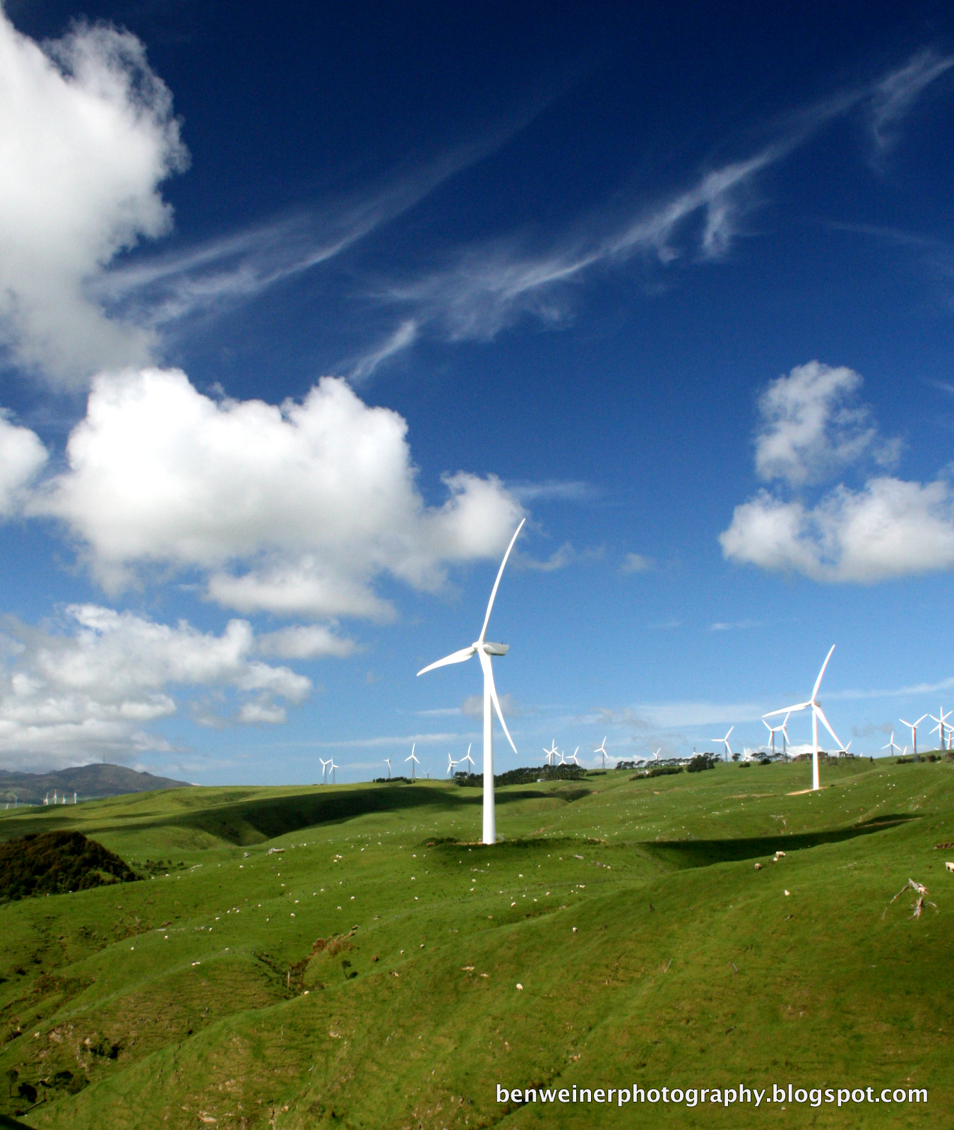 Ben Weiner Photography: Te Apiti Wind Farm, New Zealand