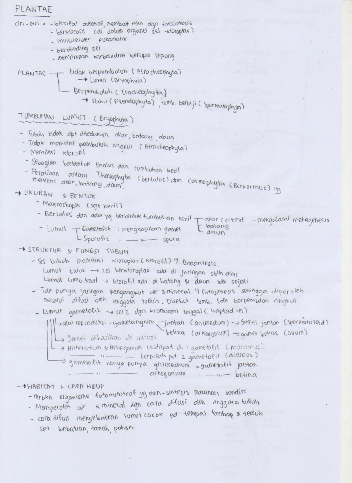 BIOLOGI GONZAGA: CATATAN LUMUT - PAKU