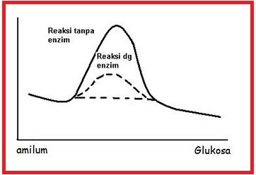 BIOLOGI GONZAGA: September 2010