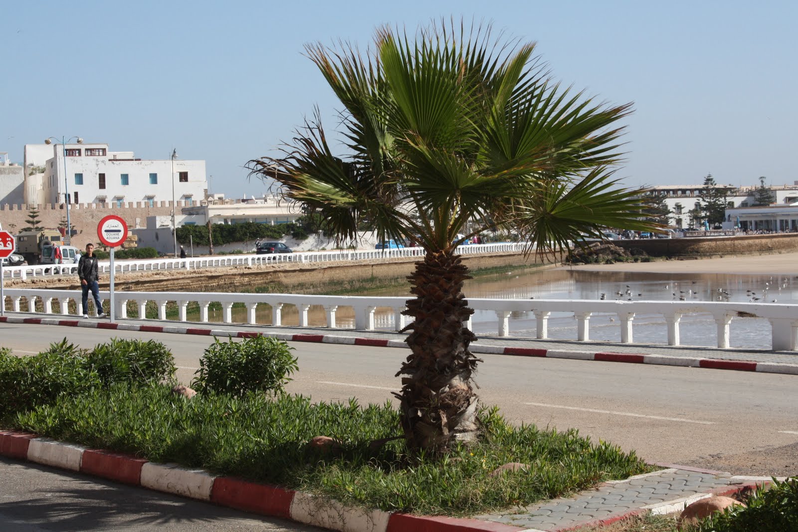 Kari Langslet: Life of a [former] NOMAD and [permanent] fashionista