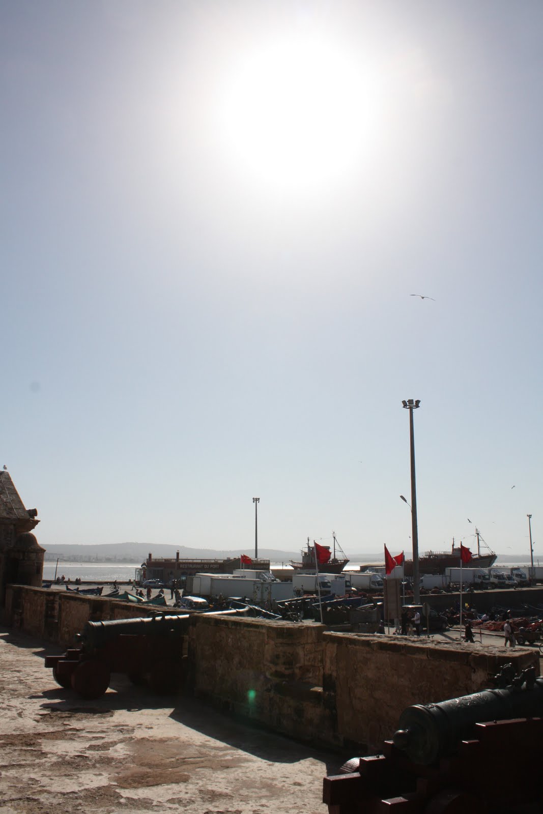 Kari Langslet: Life of a [former] NOMAD and [permanent] fashionista